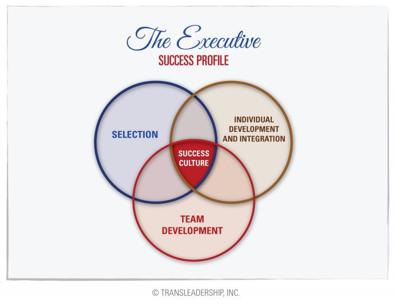 The Executive Success Profile: Hallmarks of the Successful Leader ...
